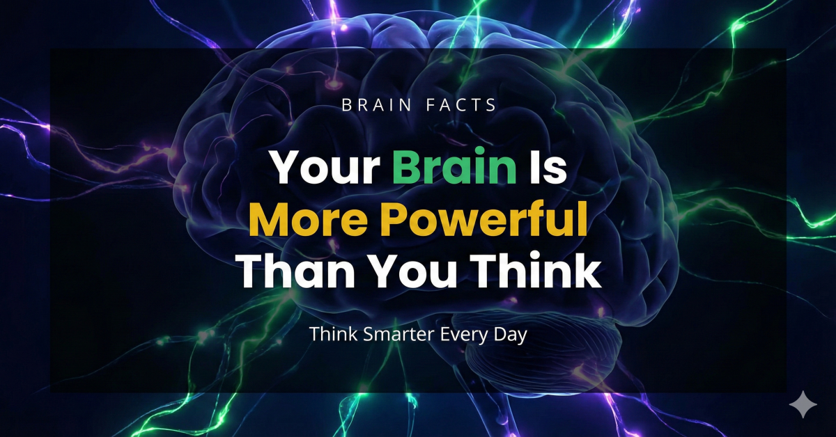 7 Fascinating Brain Facts That Will Change How You Think 1 Minute Genius